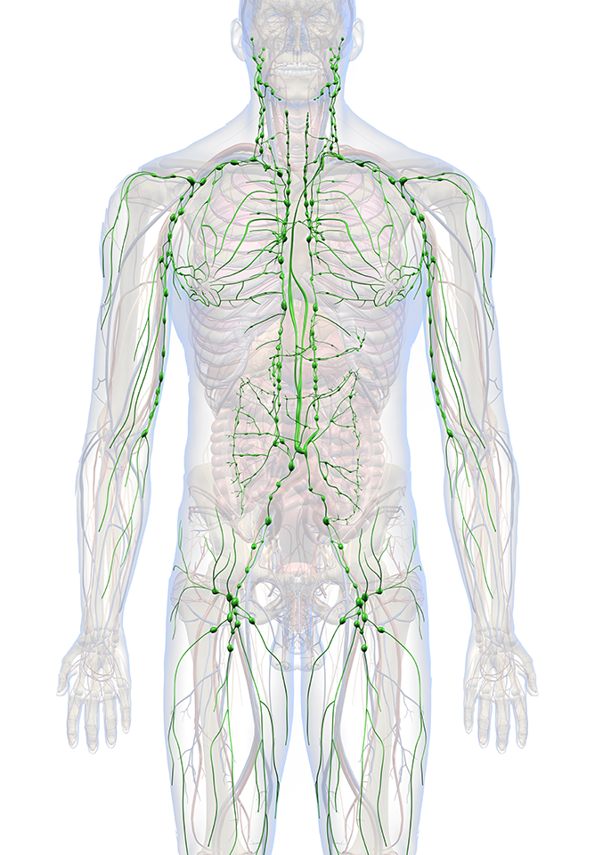 Other Bodywork Therapies | earthwalk Center for Wholeness